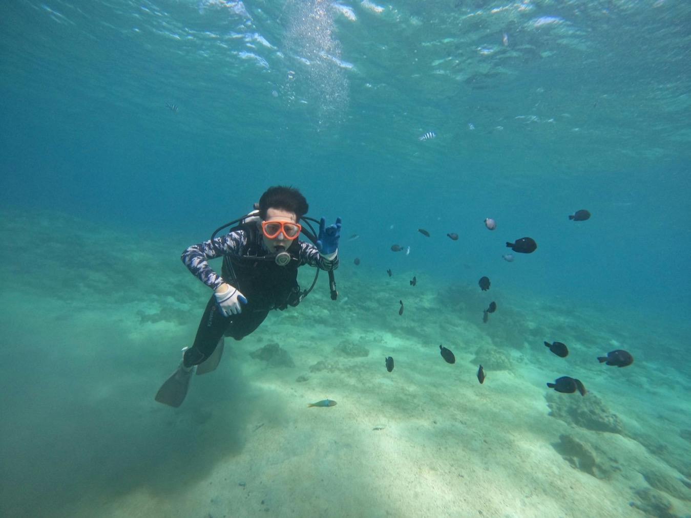 diving&workshop IHANASHI（ダイビングアンドワークショップイハナシ）の口コミ ｜本物の海を感じた、そう思えたの｜アソビュー！