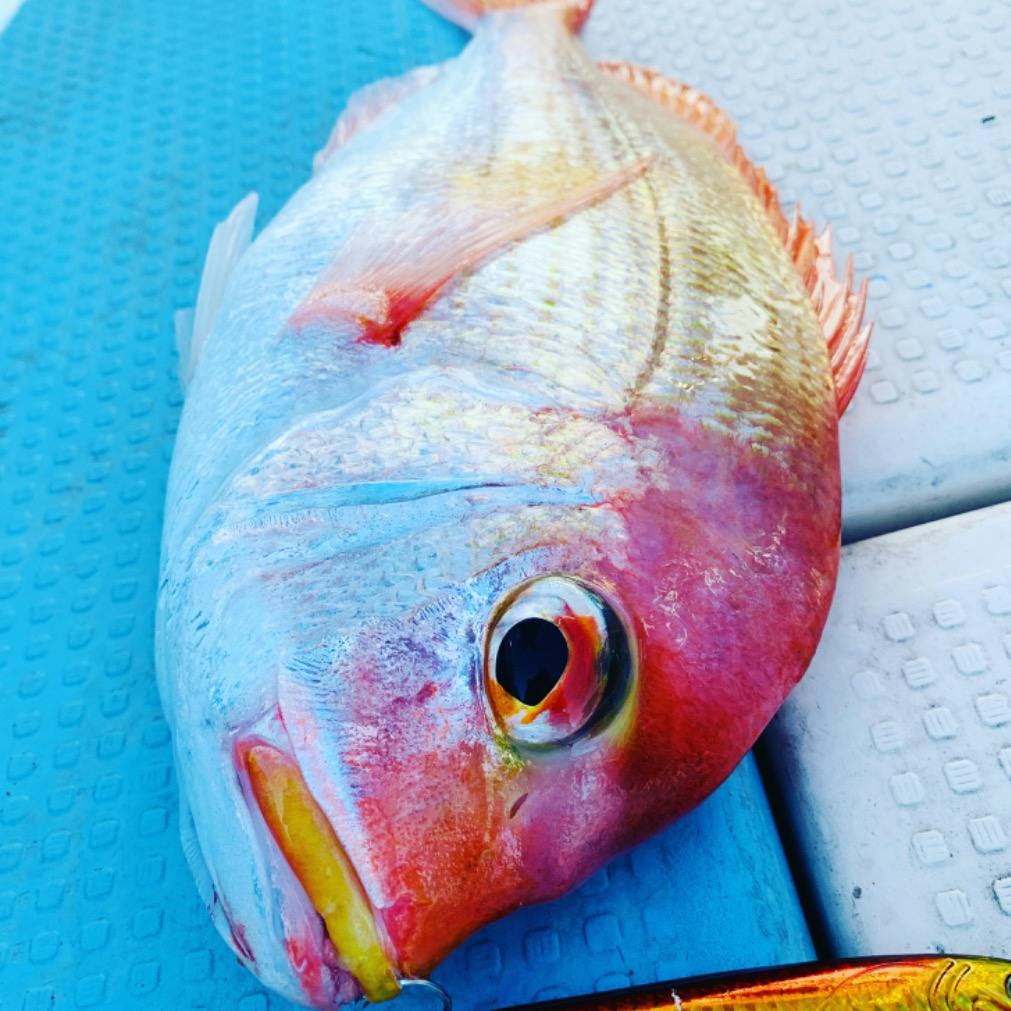 SUNNY FISHING（サニーフィッシング）／投稿された写真一覧｜アソビュー！