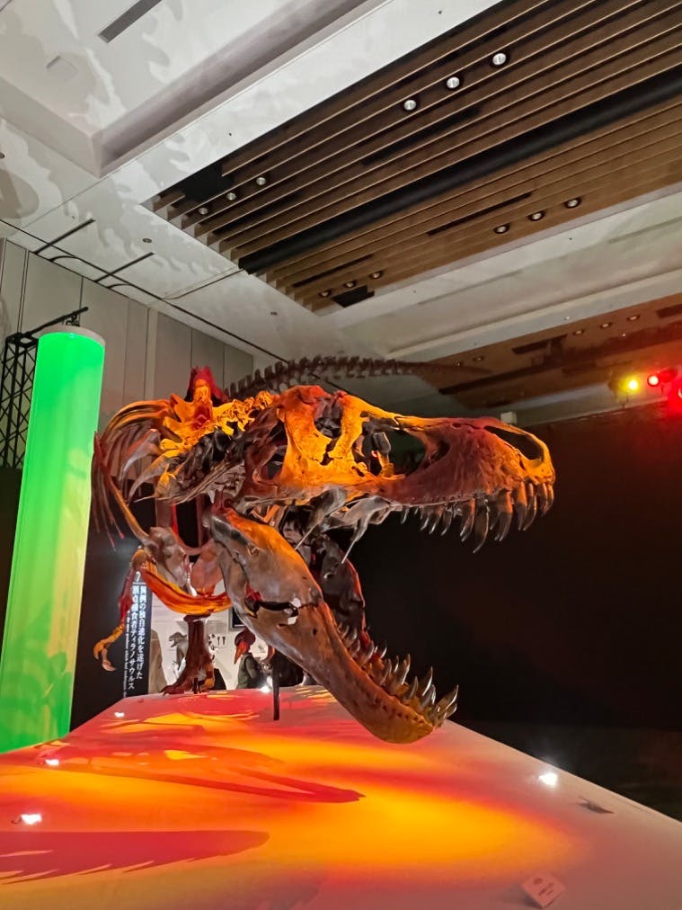 DinoScience 恐竜科学博 2023@TOKYO MIDTOWNの口コミ ｜思った以上に迫力満点で躍動感の｜アソビュー！