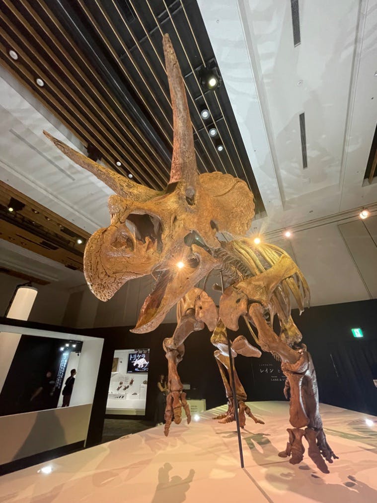 DinoScience 恐竜科学博 2023@TOKYO MIDTOWN／投稿された写真一覧｜アソビュー！