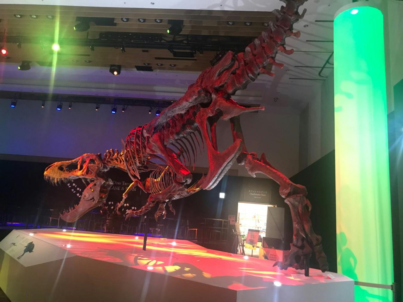 DinoScience 恐竜科学博 2023@TOKYO MIDTOWNの口コミ ｜平日夜に行きました！光の演出が｜アソビュー！