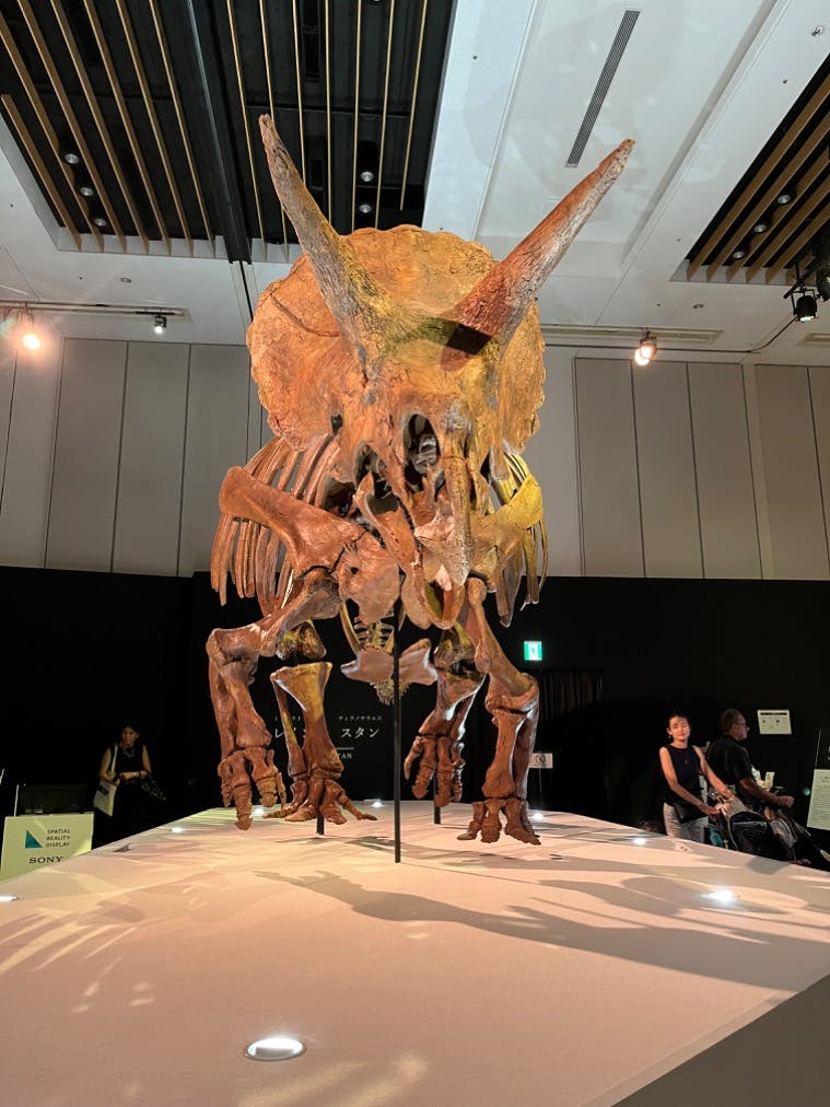 DinoScience 恐竜科学博 2023@TOKYO MIDTOWN／口コミ一覧｜アソビュー！