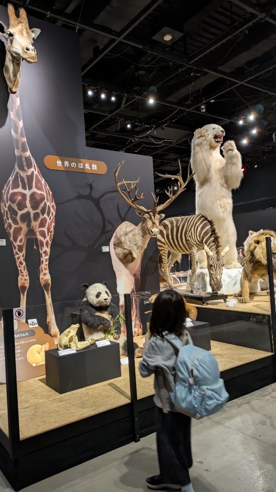 うんち展 -No UNCHI, No LIFE-／投稿された写真一覧｜アソビュー！